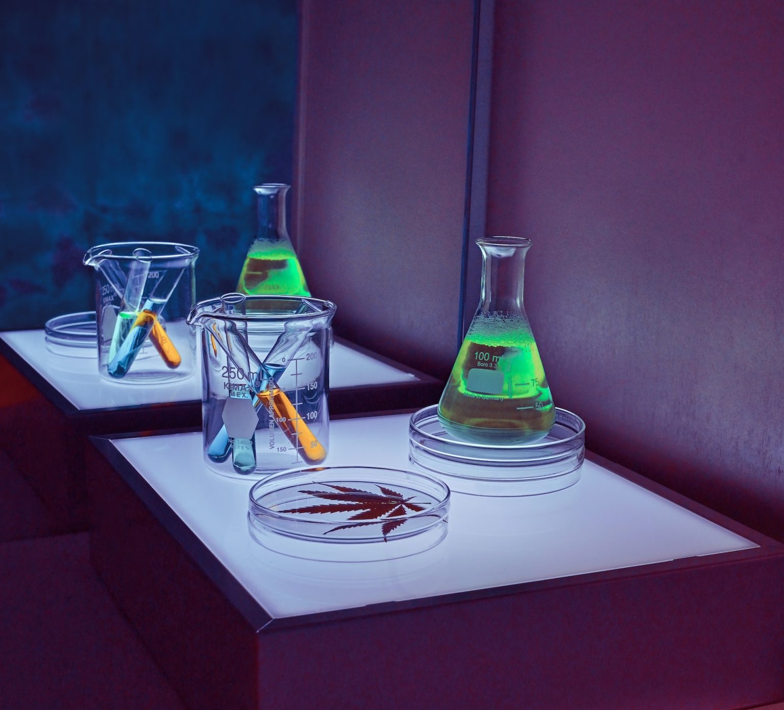 The Half-Life of THC & How is THC Processed Out of the Body