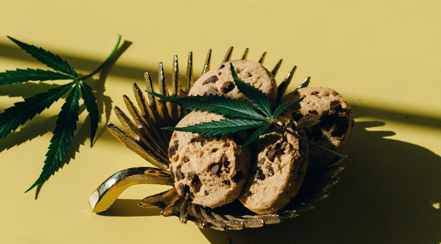 How Does Weed Make You Feel? Does Weed Make You Hallucinate?