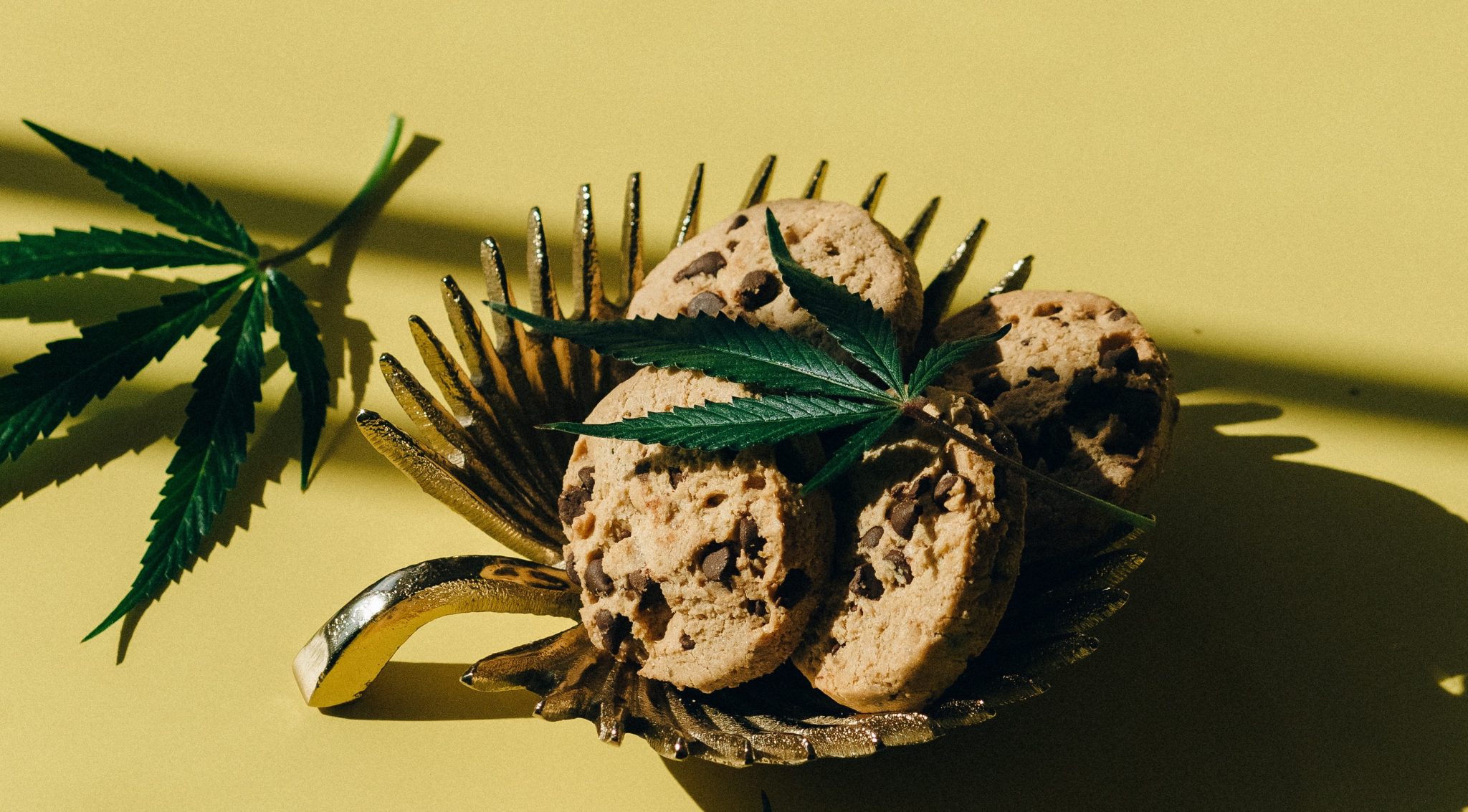 How Does Weed Make You Feel? Does Weed Make You Hallucinate?