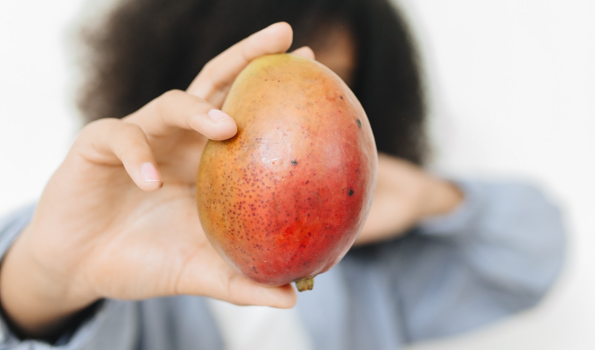 Beta-Myrcene Terpene Effects & Benefits + High Myrcene Strains