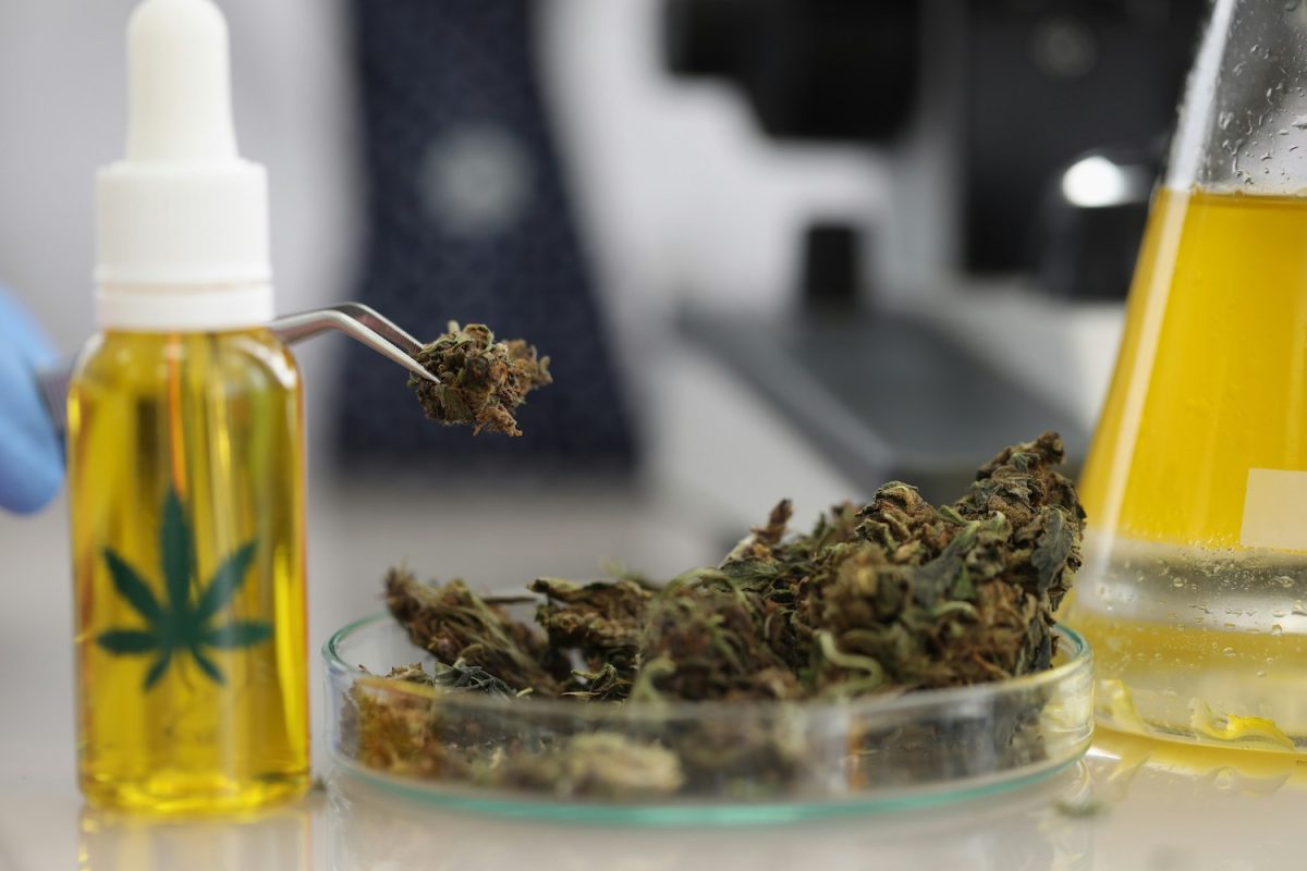 Washington Medical Marijuana: New Regulations & Patient Benefits