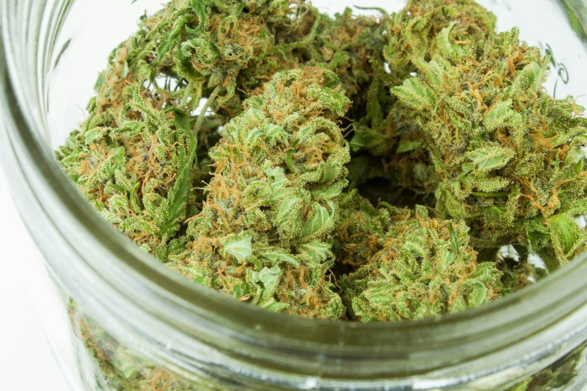 Washington Medical Marijuanas Card Cost & Benefits Guide