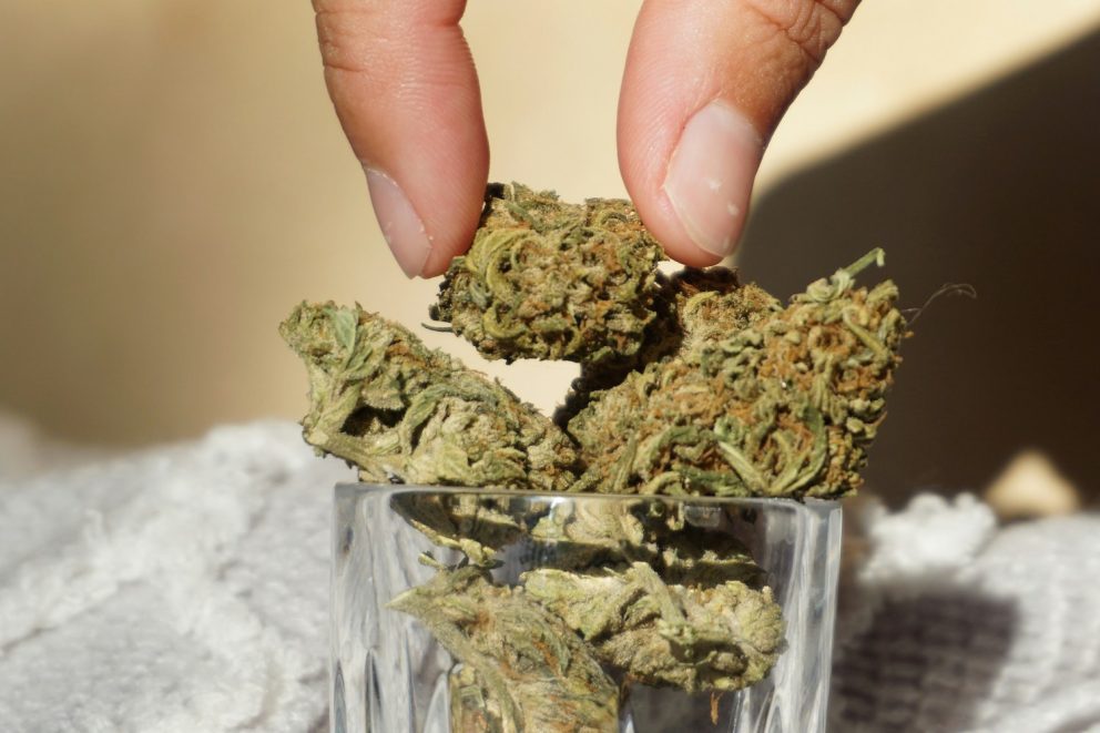 2025 Washington State Medical Marijuana Qualifying Conditions