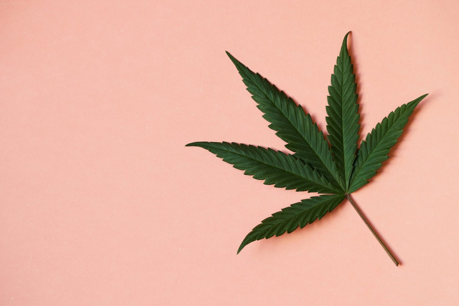Marijuana Schedule III Update: Timeline, 280E Relief & Patients
